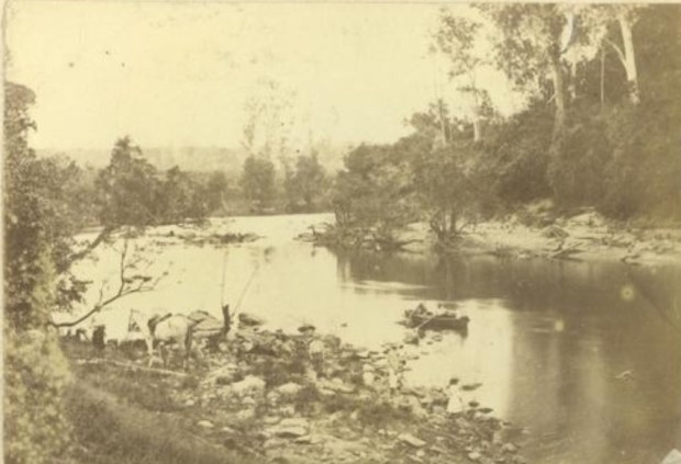 Life on the Rivers – Moreton Bay and More