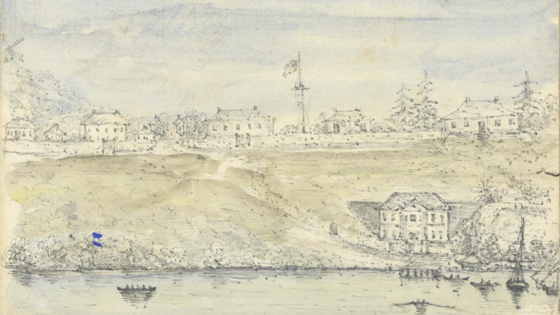 The Health of the Colony – Free Settlement – Moreton Bay and More