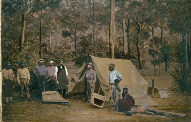 Richard Daintree’s Queensland – Moreton Bay and More