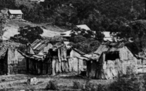 Homes, Decor and Gardens in the 19th Century. – Moreton Bay and More