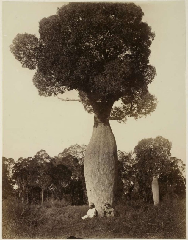 Henry Dagg’s Narrow Escape – Moreton Bay and More