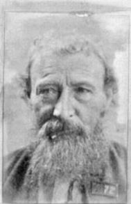 The last of the Snob. – Moreton Bay and More