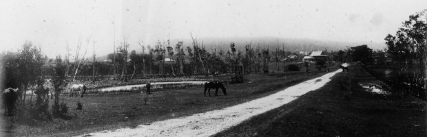 The A-Z of Old Brisbane – Camp Hill, Cannon Hill and Chelmer. – Moreton ...