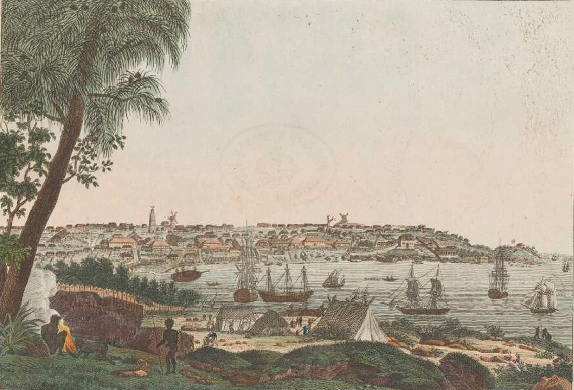 The Bowerman Inheritance. – Moreton Bay and More
